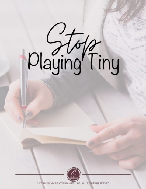 Stop Playing Small Workbook - Become a Myofunctional Therapist